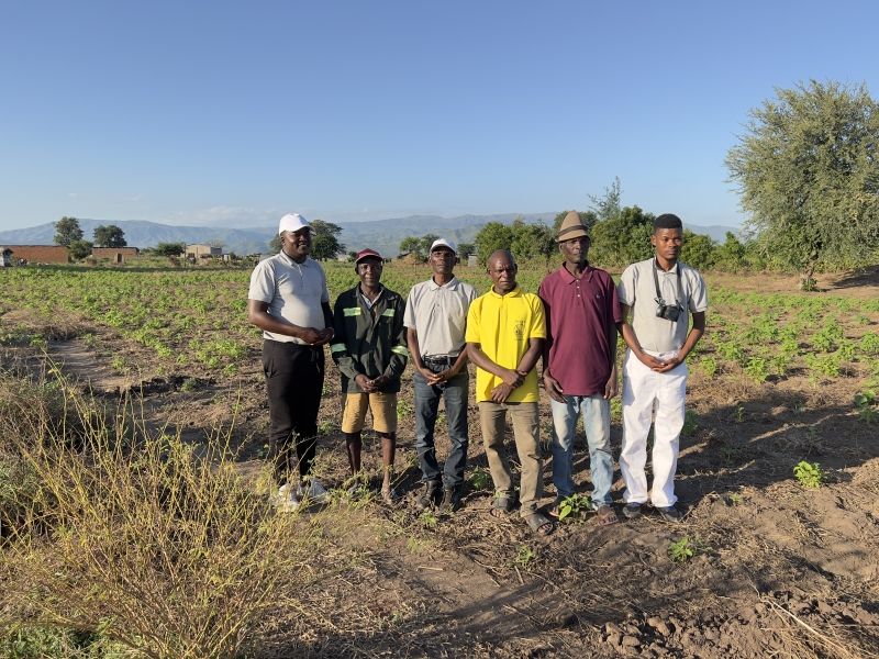 Sowing Hope in Malawi’s Sesame Farms After Cyclones | Tzu Chi Charity ...