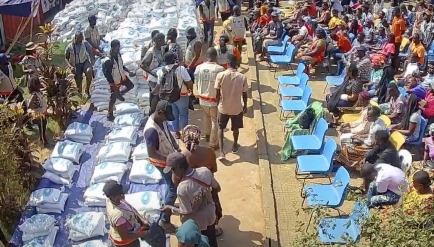 Seeds of Hope: A Decade of Taiwanese Rice in Sierra Leone | Tzu Chi ...